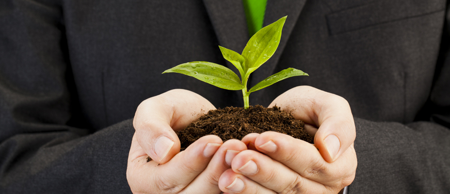 Taurus Accounting Services